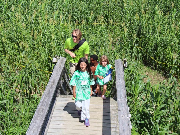 Mega Maze - Davis Mega Farm Festival has the greatest corn maze
