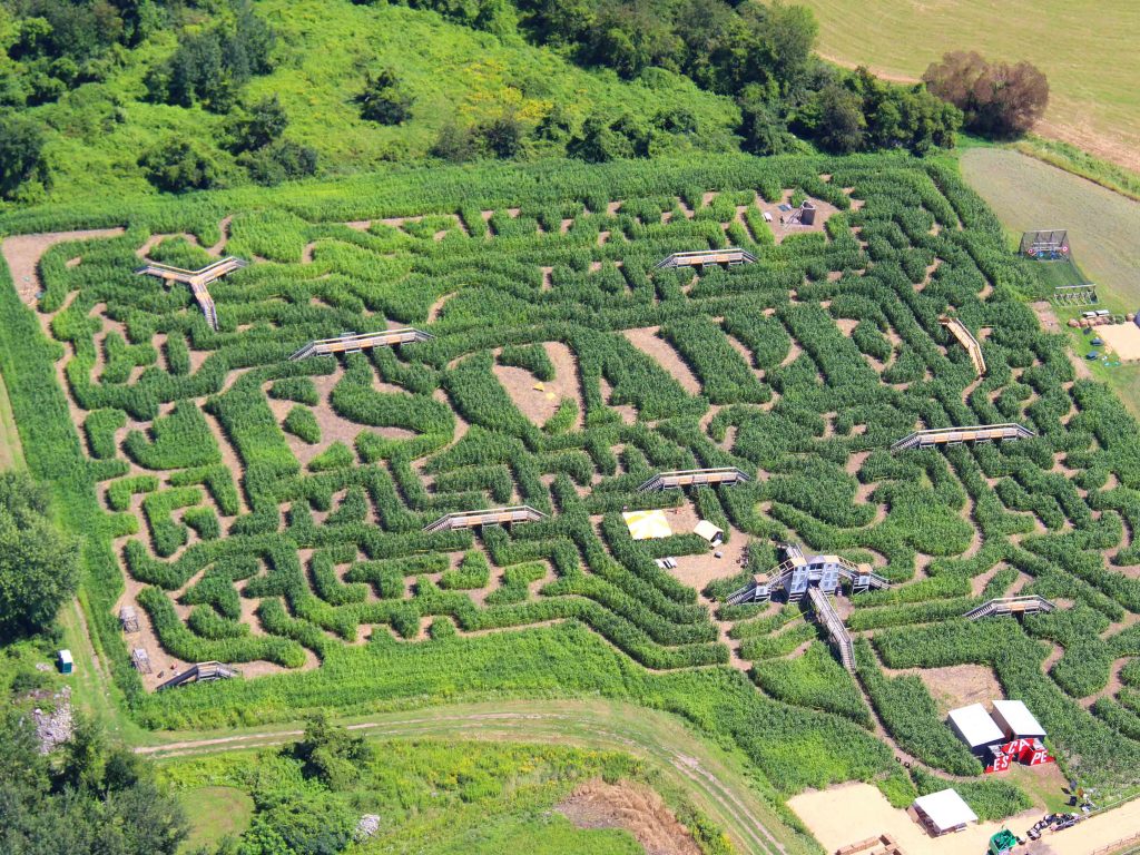 Maze 4 - Davis Mega Farm Festival