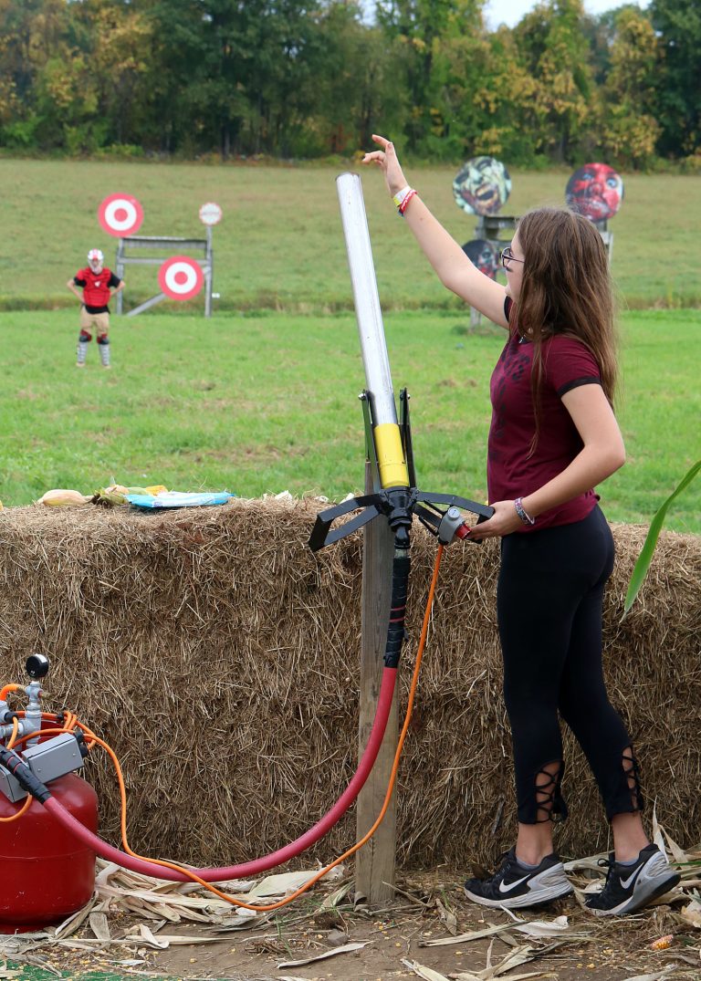 Added Fun At The Festival - Davis Mega Farm Festival, zip lines fly you ...