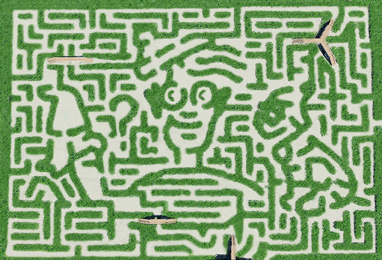 Davis Mega Maze - Davis Mega Farm Festival